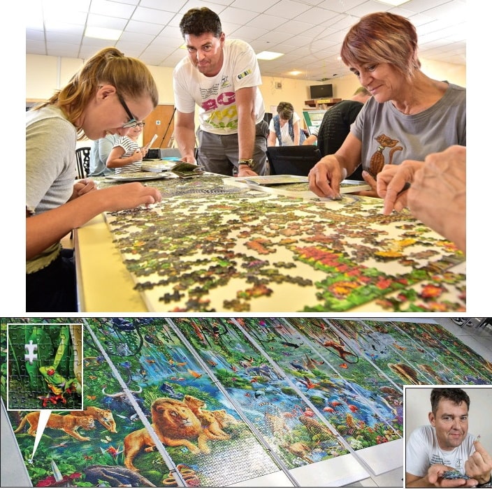 Missing Jigsaw Puzzle Pieces missing-jigsaw-puzzle-pieces